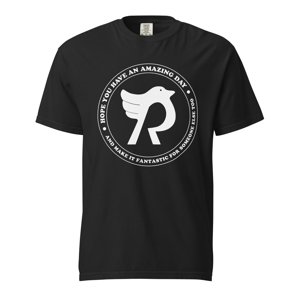 Robbie C Amazing Day garment-dyed heavyweight t-shirt – Foundation Disc ...